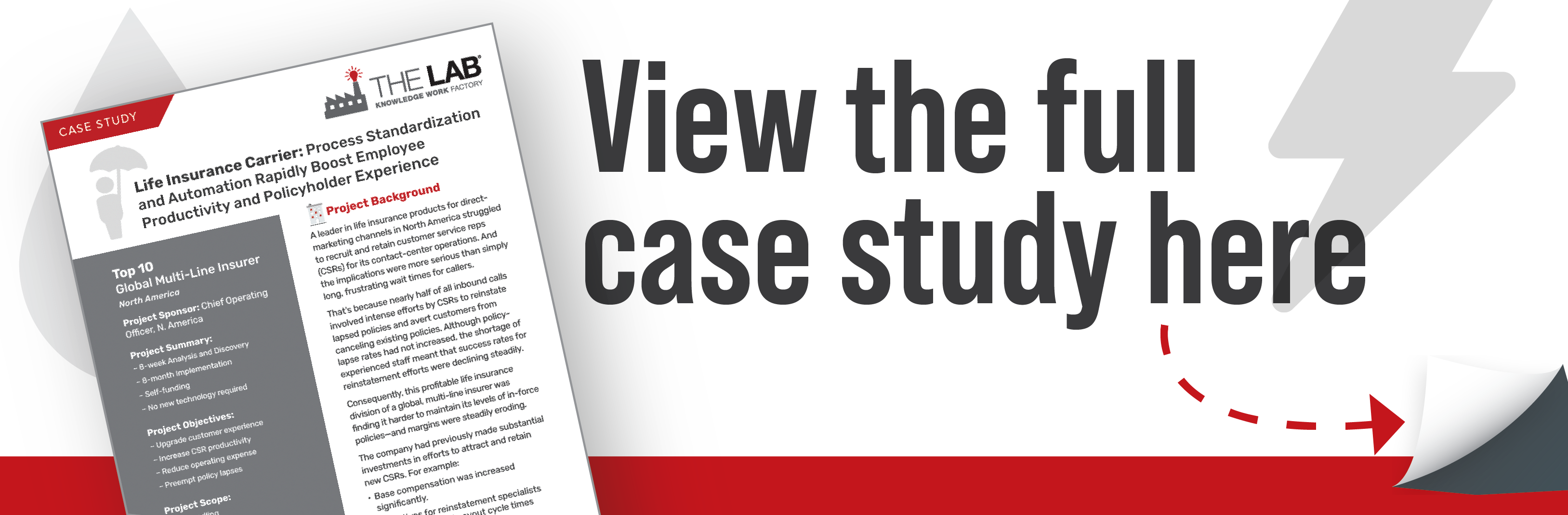 View Life Insurance Case Study for Standardization - The Lab Consulting