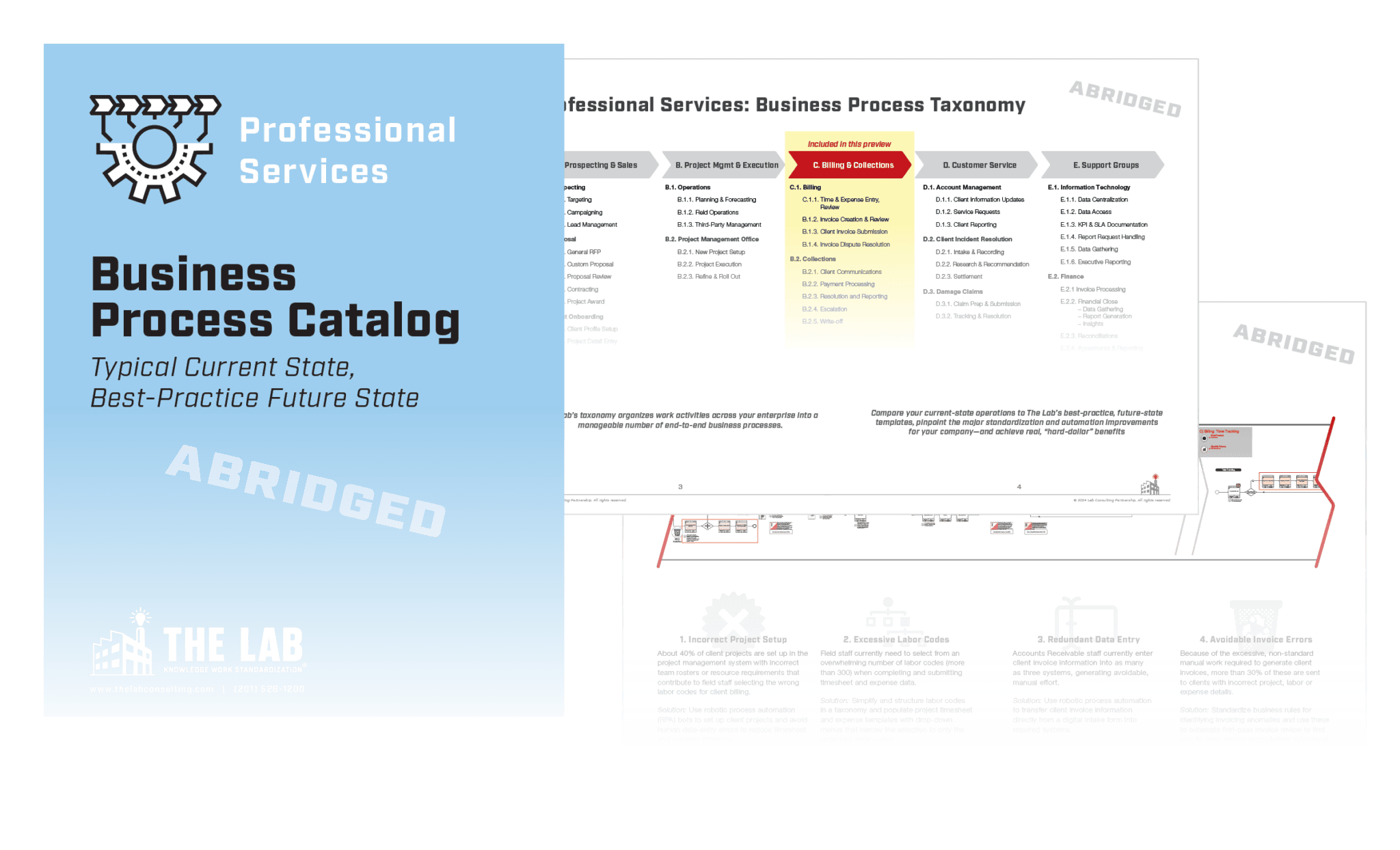 Business Process Catalog: Professional Services - The Lab Consulting